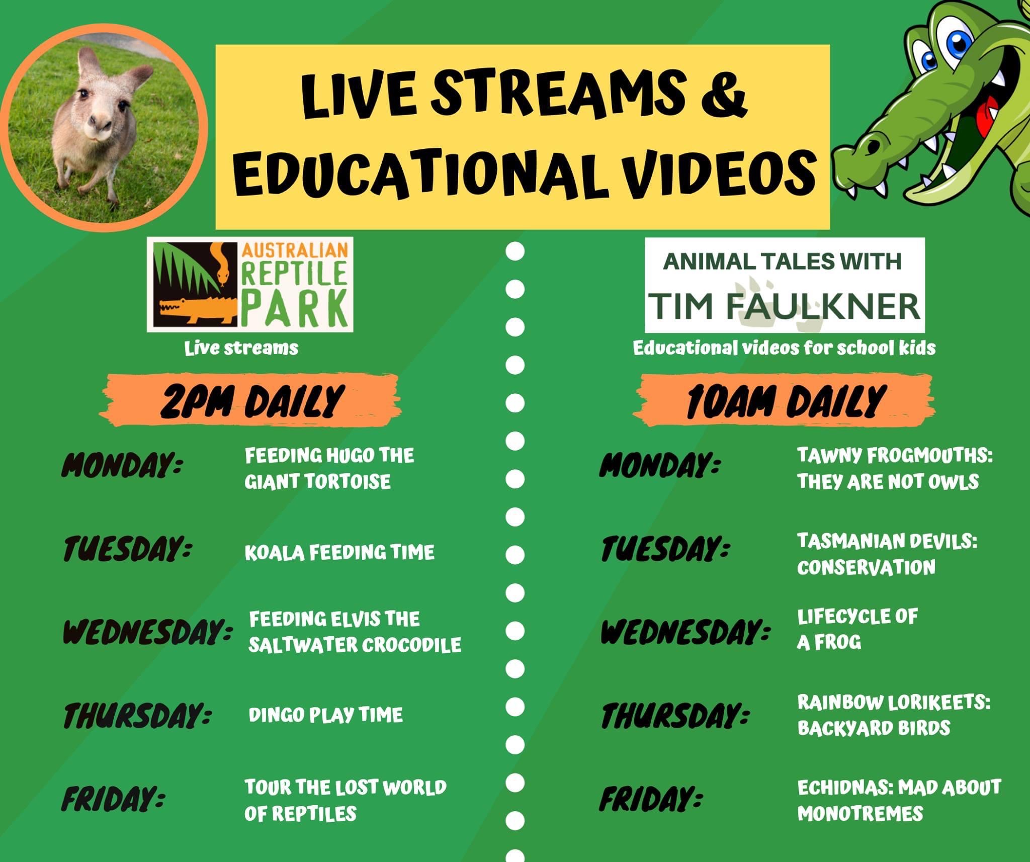 After School Club Ideas – A treasure trove of of club ideas keeping ...